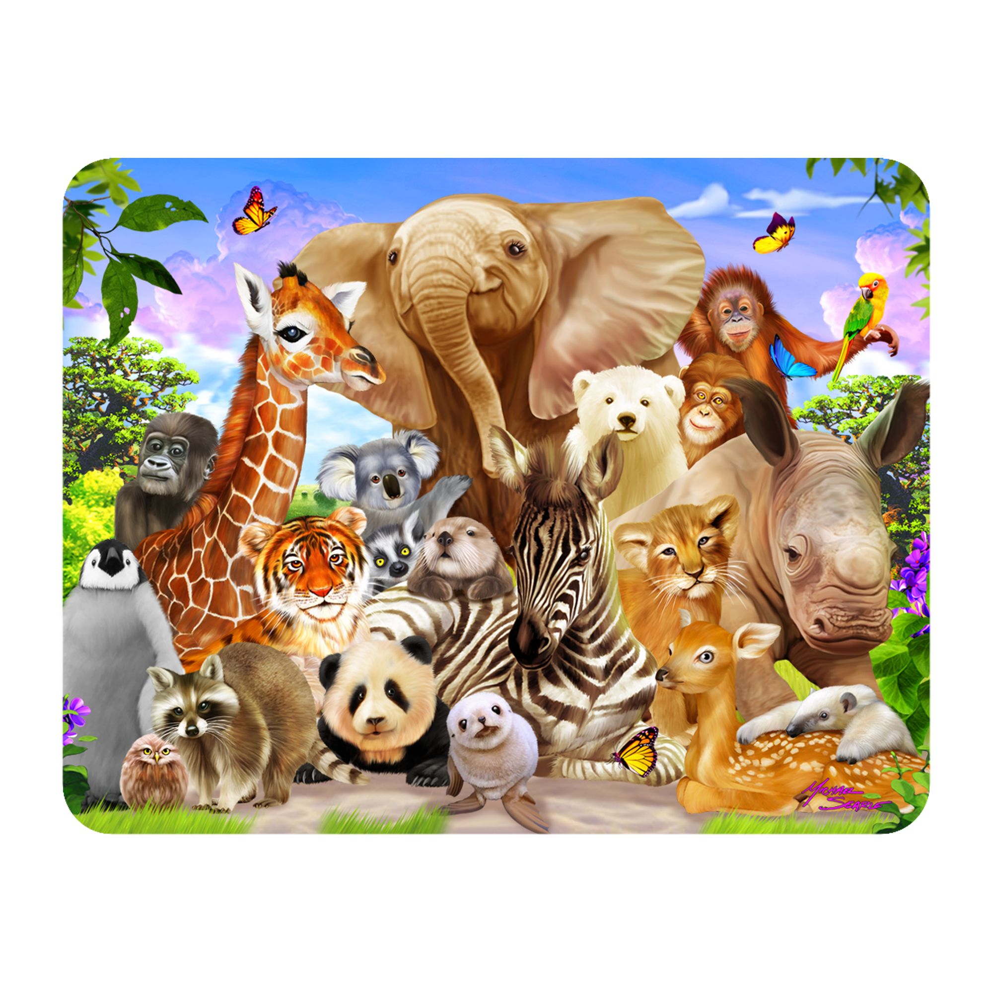 3D LiveLife Magnets – Wild Smile – Deluxebase Store